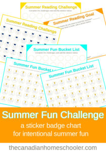 Summer Fun Challenge - A Sticker Badge Chart {Printable}