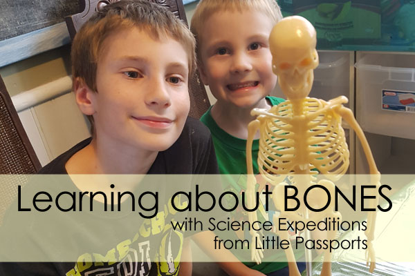 Learning About Bones with Science Expeditions