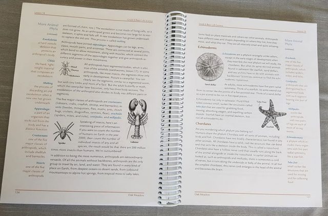 Oak Meadow Review - A Look at Our Year With OM6