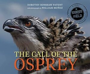 Canada's Provincial and Territorial Birds: A Quick Guide for your ...
